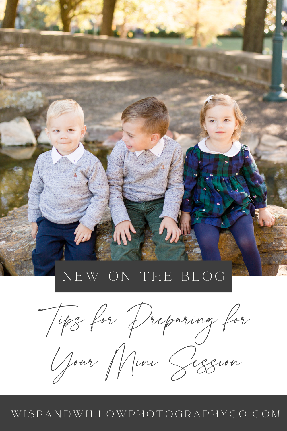 Tips for Preparing for Your Mini Session | Family Photography Team