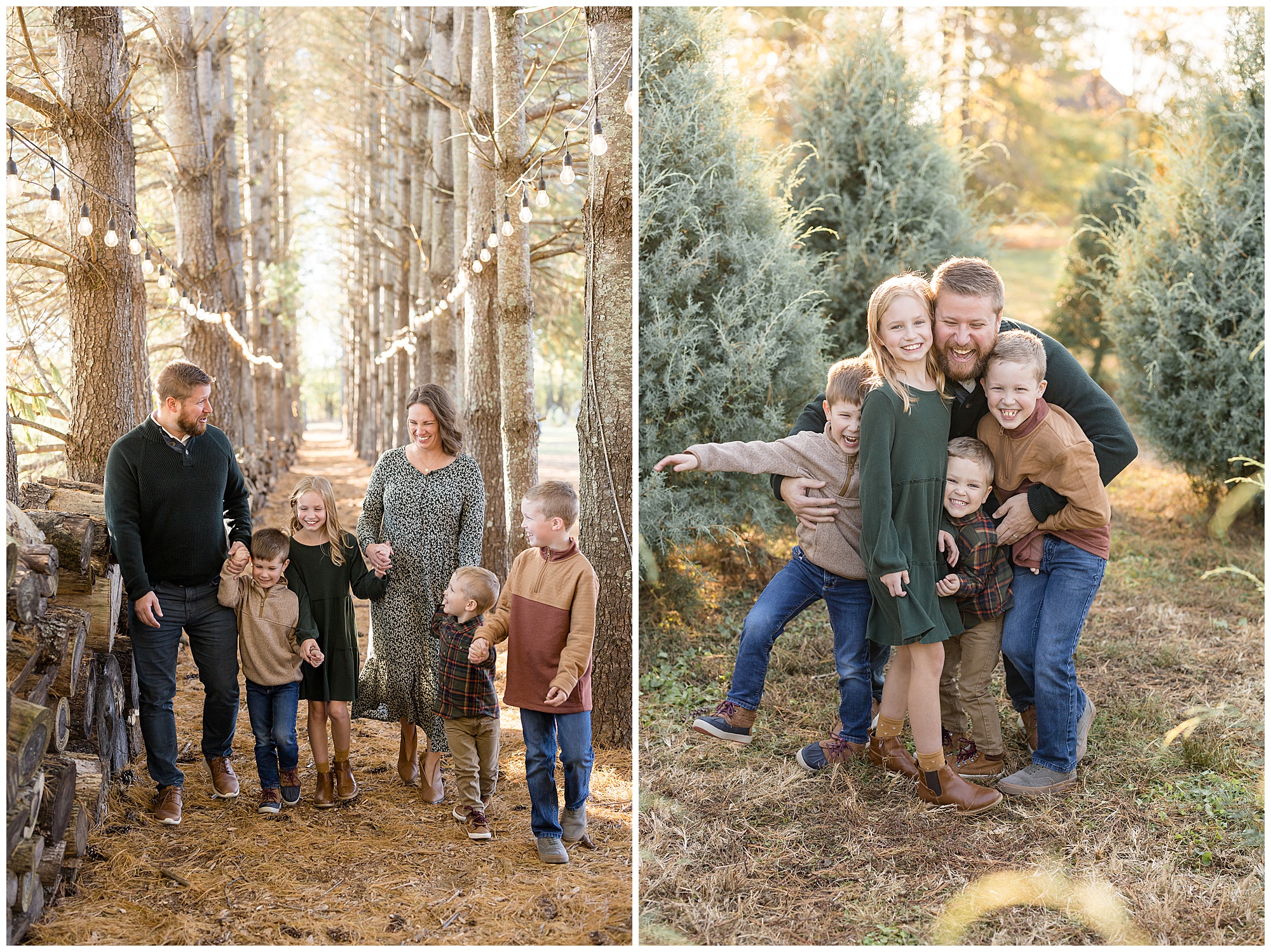Tree Farm Mini Sessions Recap | Family Photography Team