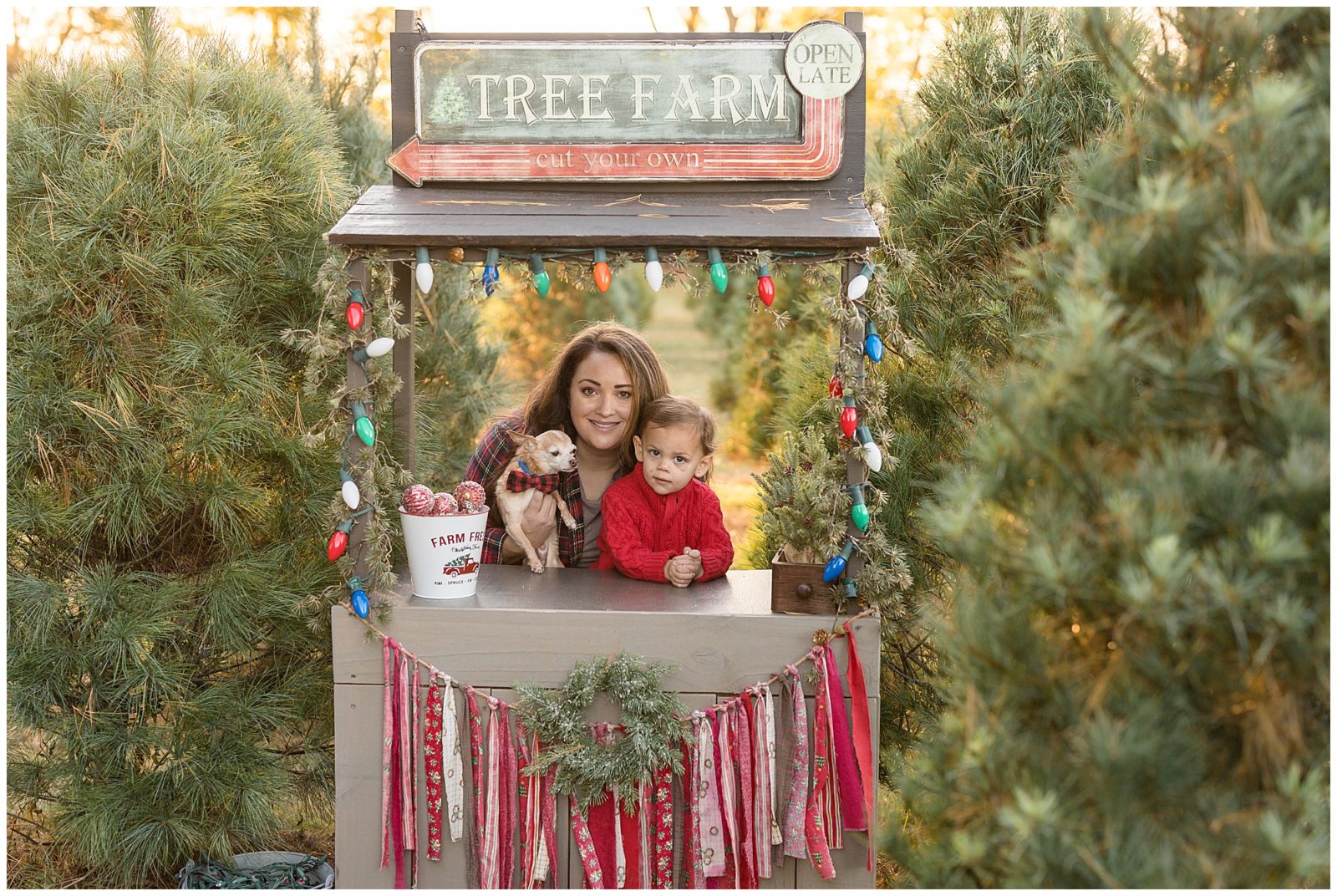 Tree Farm Mini Sessions Recap | Family Photography Team