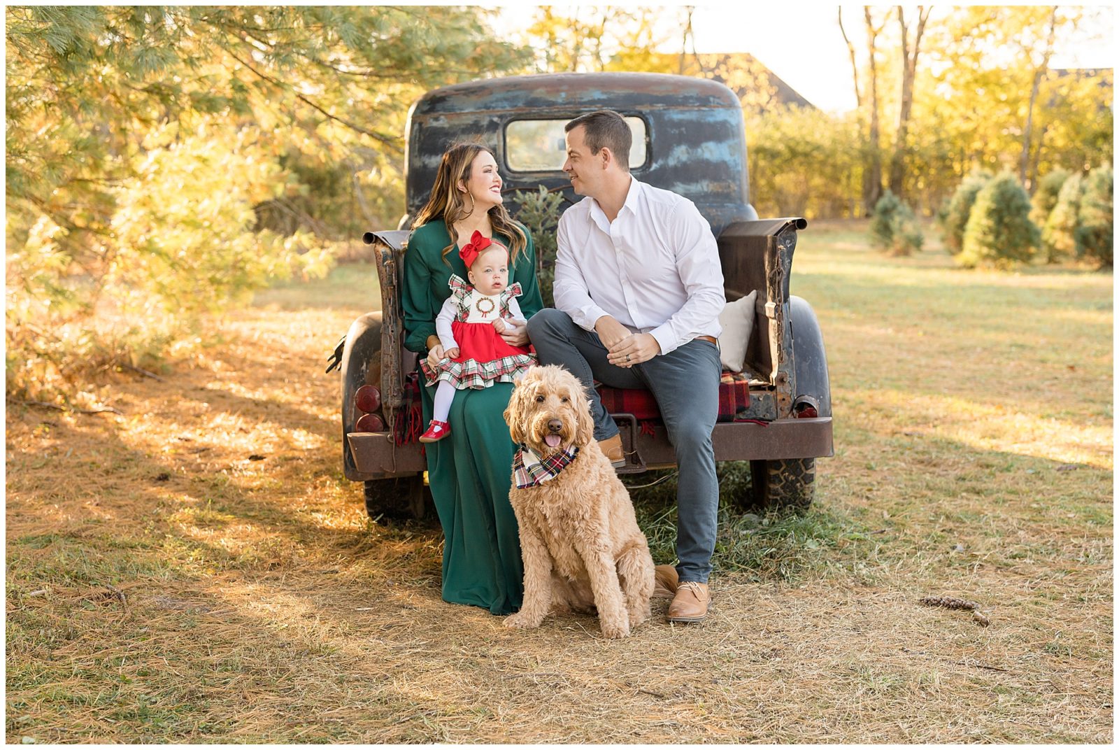 Tree Farm Mini Sessions Recap | Family Photography Team