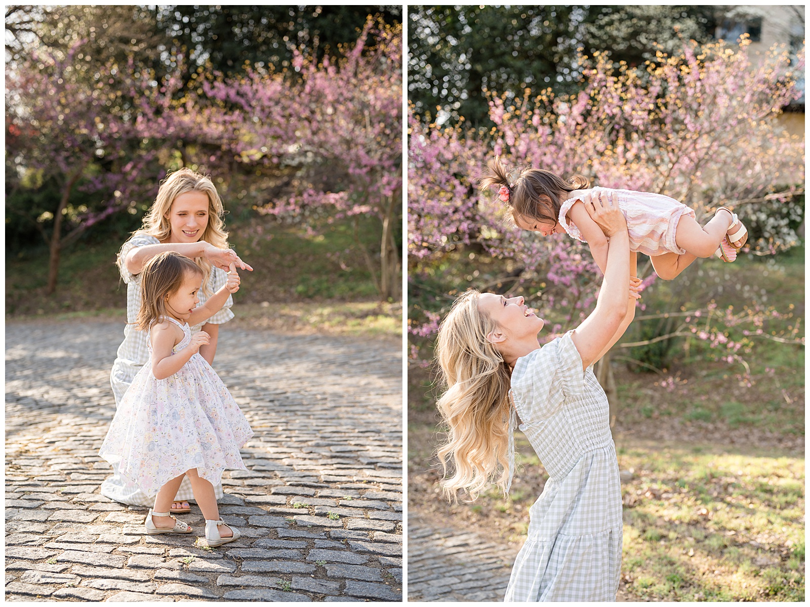 Richmond family session at Libby Hill Park