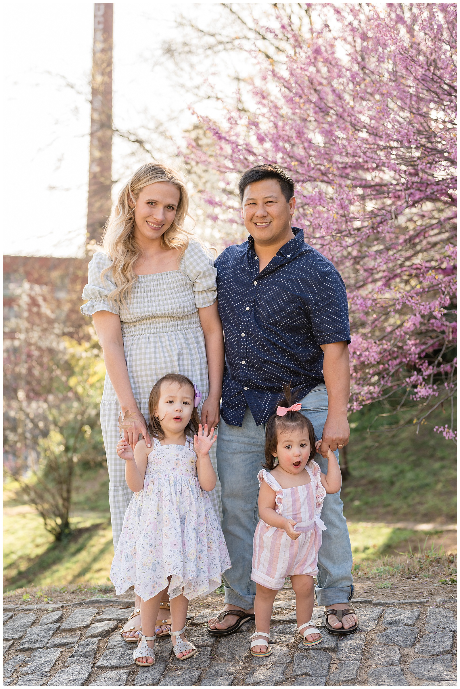 Richmond family session at Libby Hill Park